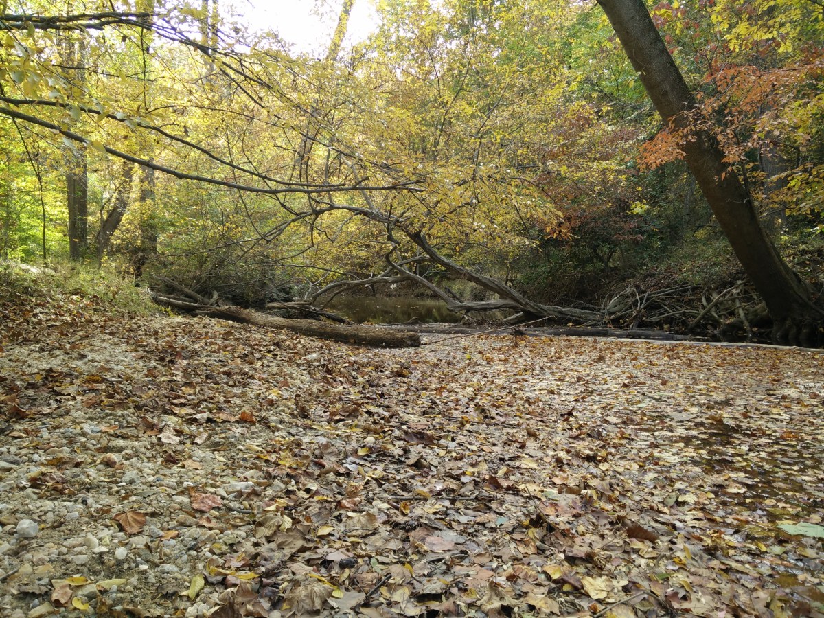 Throwing Rocks – Skit Skat Skoodle Doot