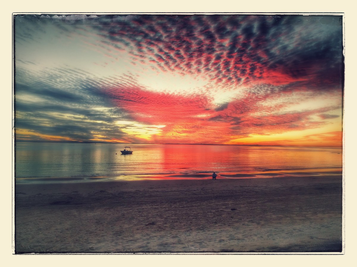 Tangalooma Sunset – Skit Skat Skoodle Doot